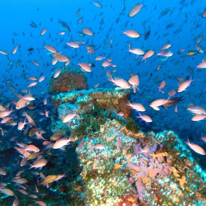 I fondali marini di Budoni, in Sardegna: un tesoro naturalistico